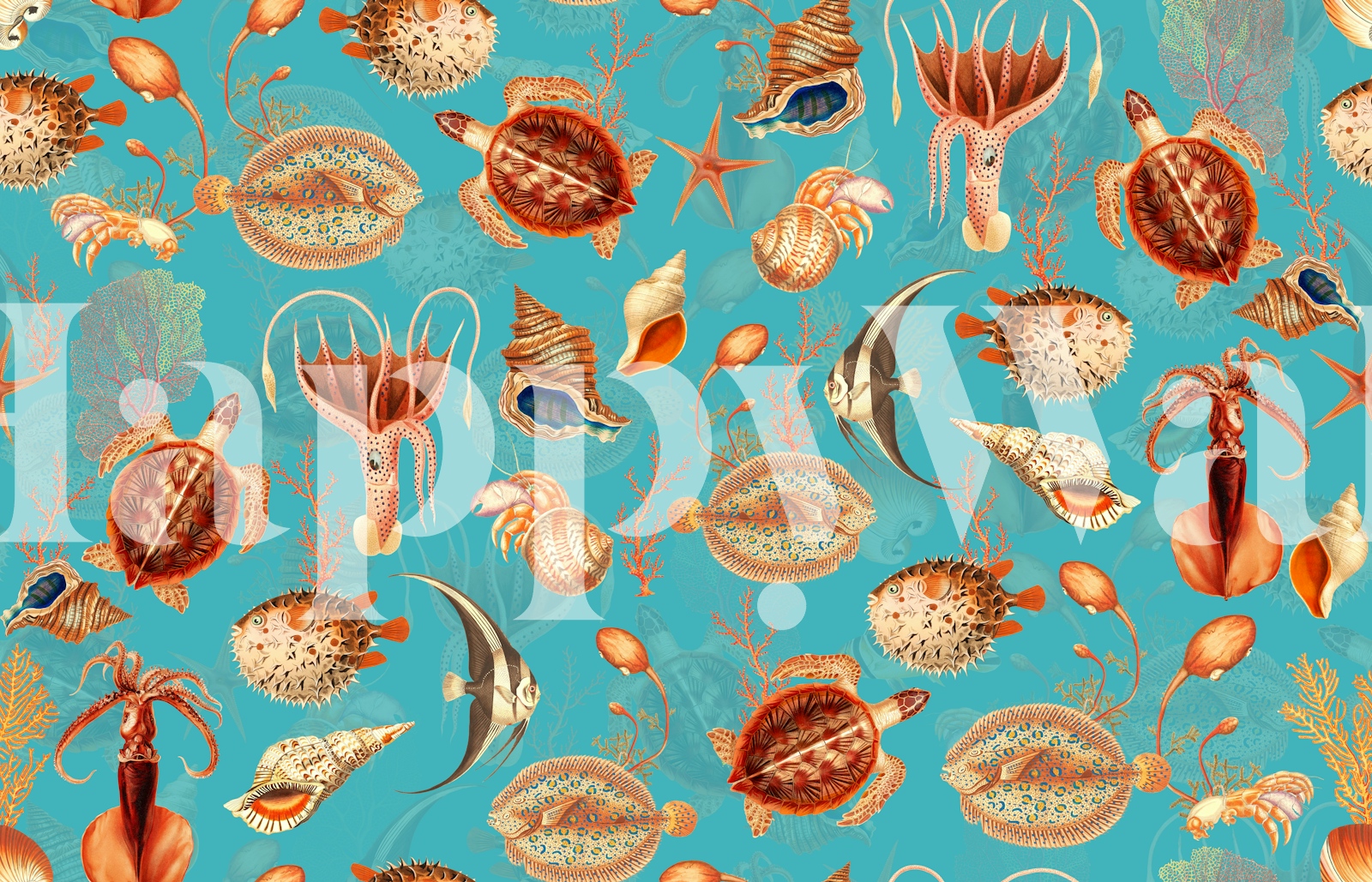 Oceania Sea Life Extravaganza Wallpaper