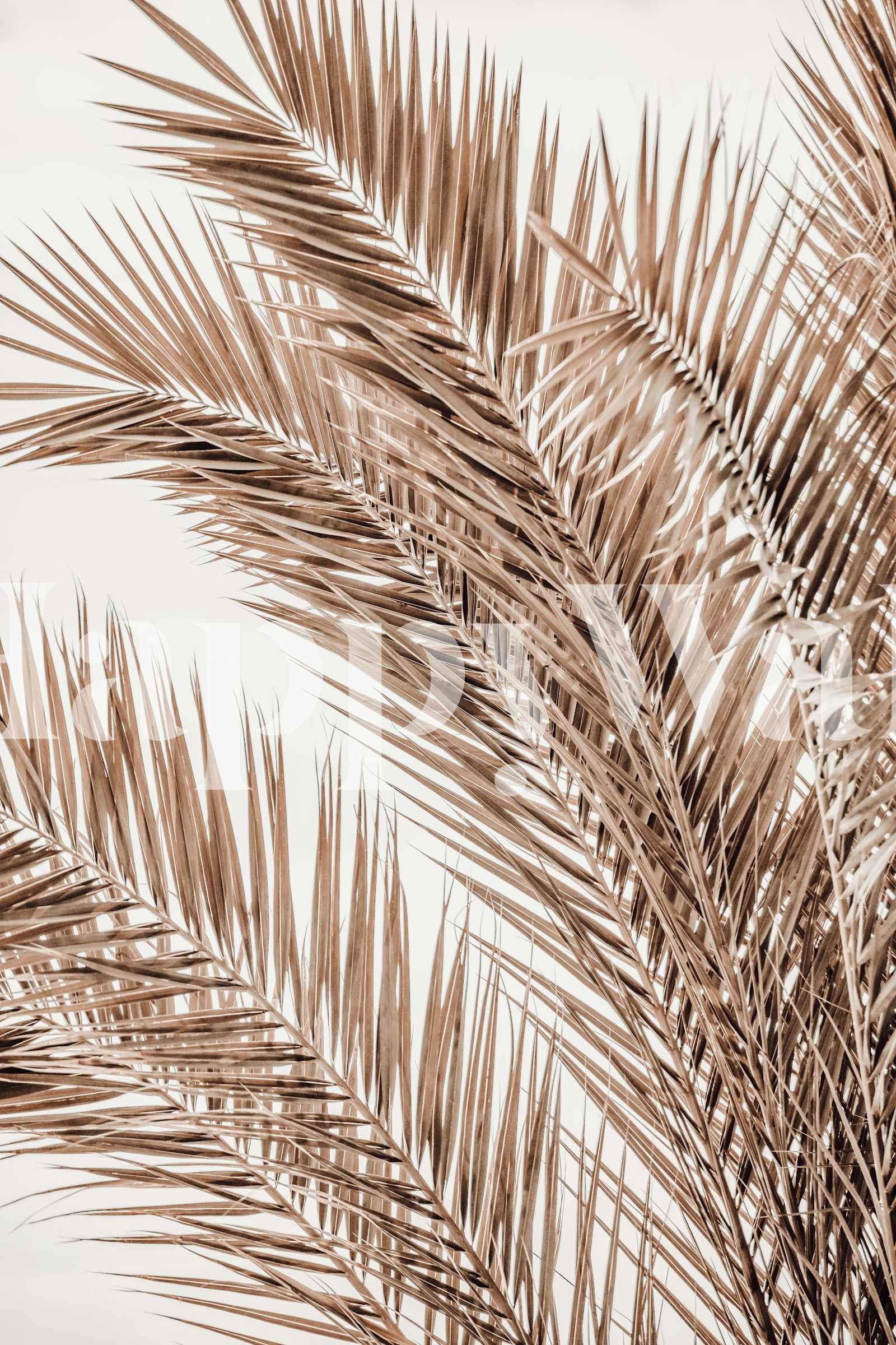 Tropical Sepia Palm Leaf Wallpaper
