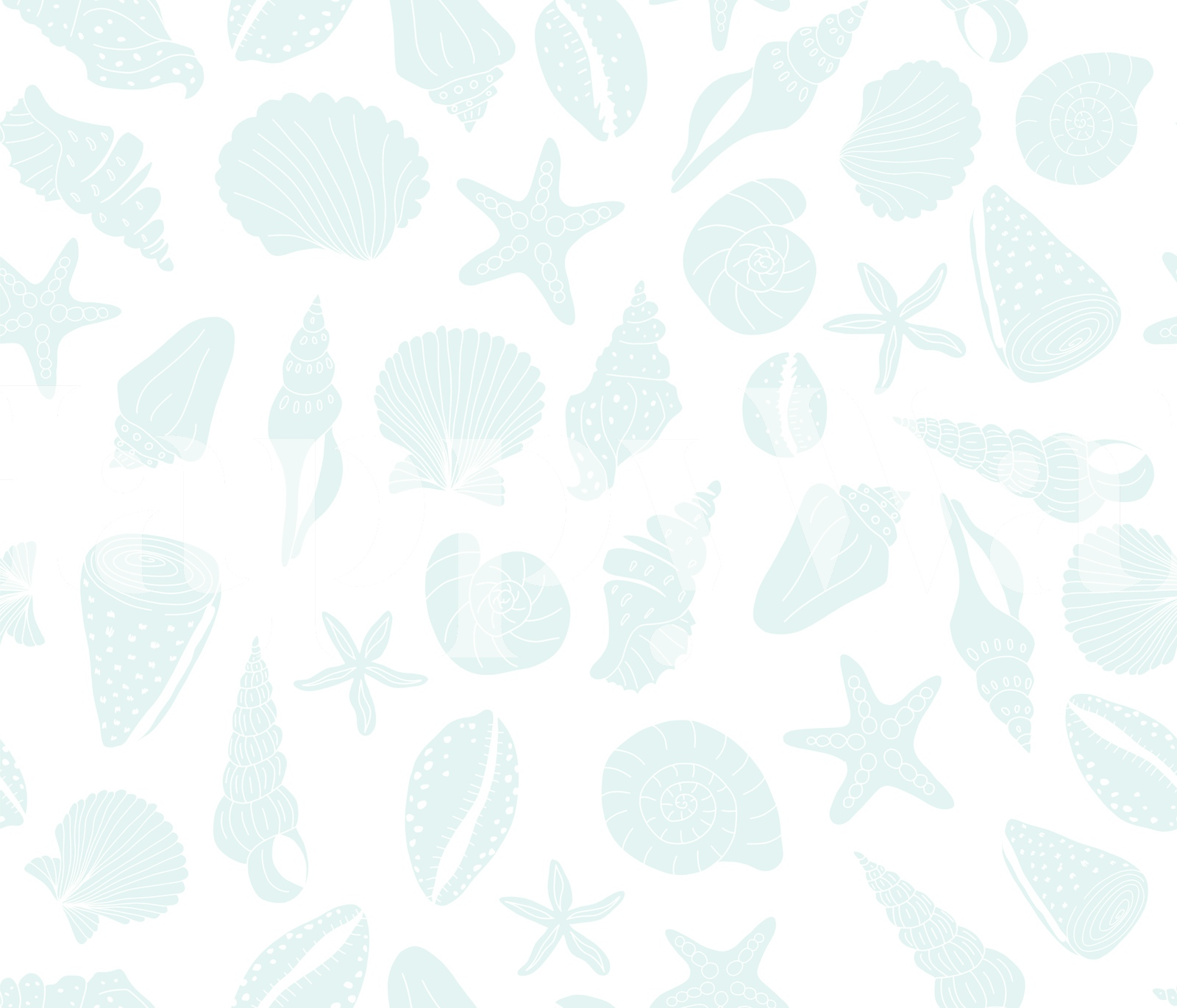 Seashell Wallpaper | happywall.com
