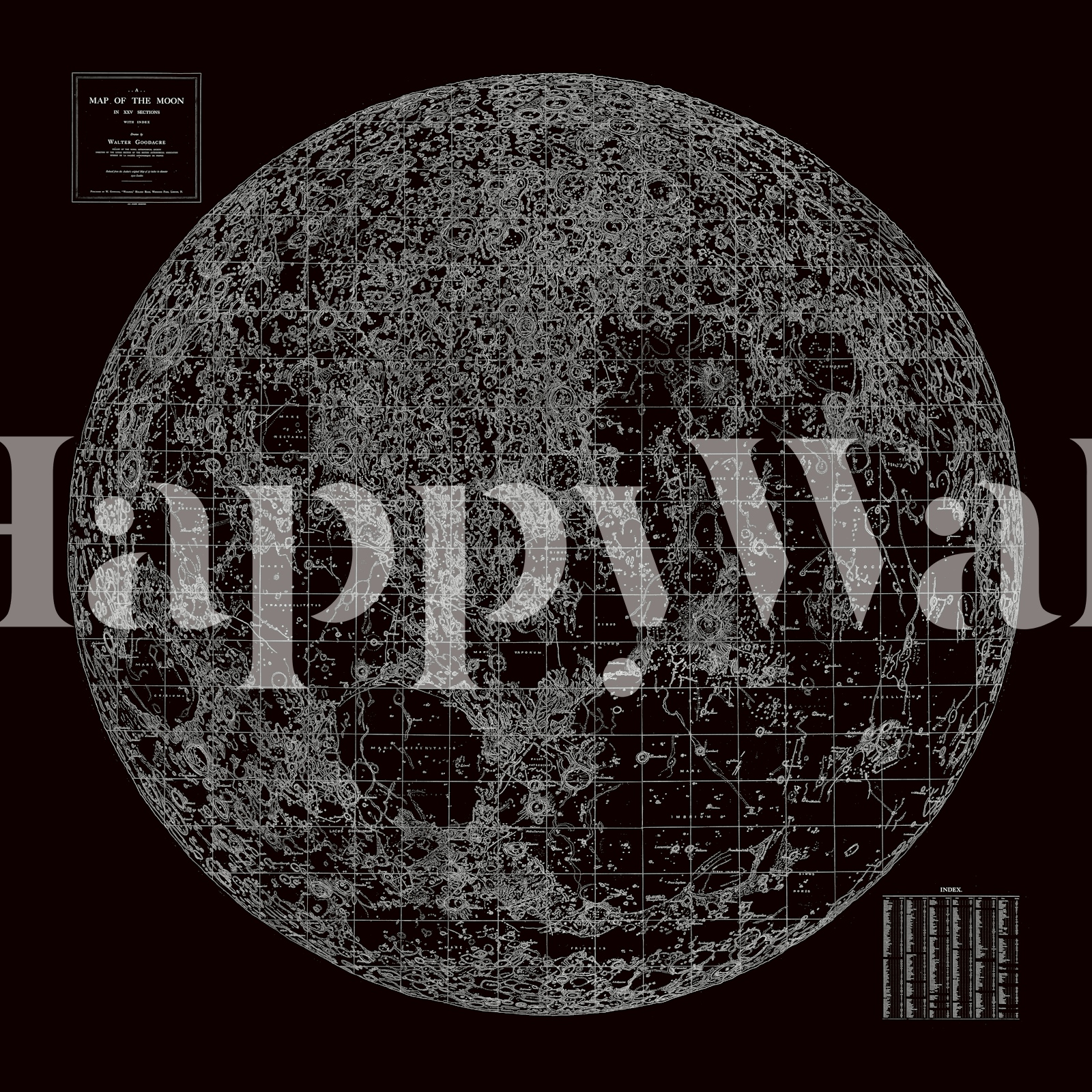 Vintage Moon Map Black and White Wallpaper