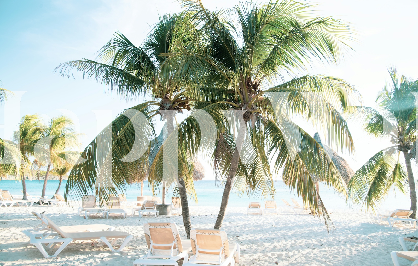 Caribbean Beach Bliss 7 - Happywall